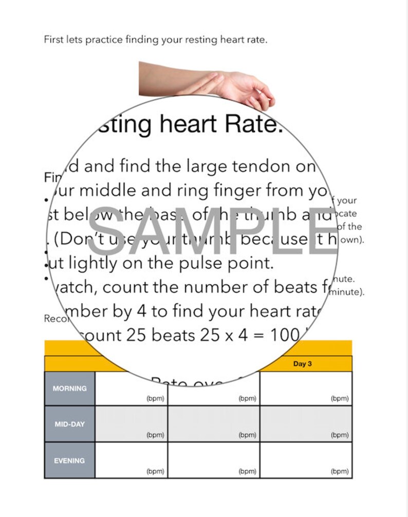 Heart Rate Fitness Lab Exercise Log Cardiovascular Fitness | Etsy