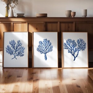 Coastal Wall Art Navy Blue Coral Set of 3 Prints - Beach House Artwork ...