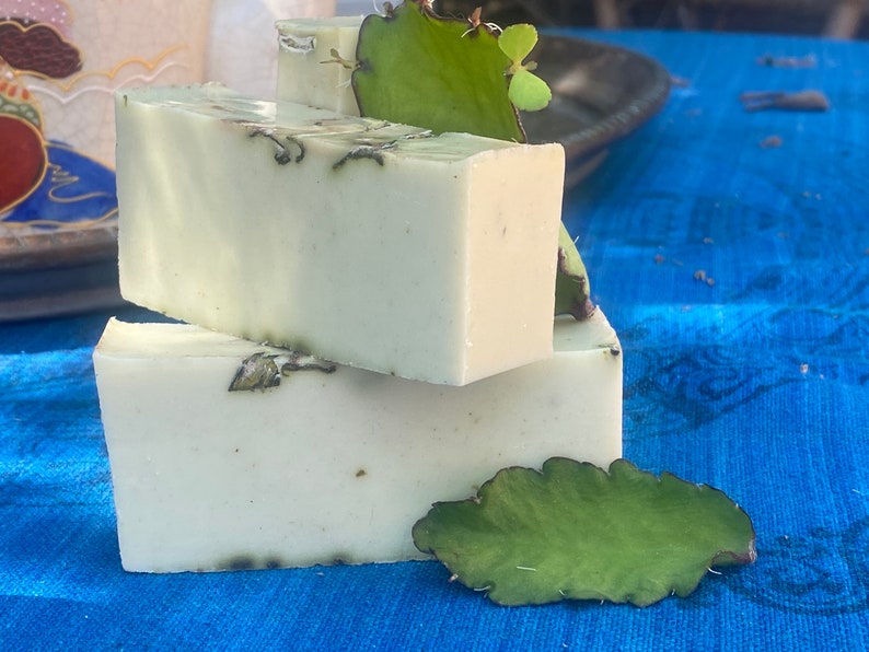 Miracle Leaf Soap/ Spiritual Soap/ Made With Real Kalanchoe Pinnata ...