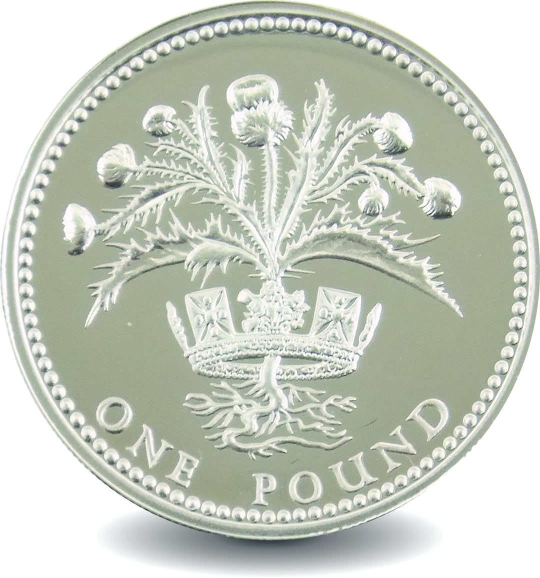 Sterling Silver One Pound Coin Uncirculated Made in UK - Etsy