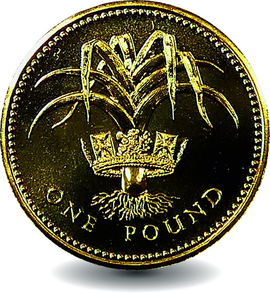 40th Birthday 1985 One Pound Coin Uncirculated - Etsy