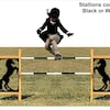 Lemon Horse Jump Fillers - Etsy