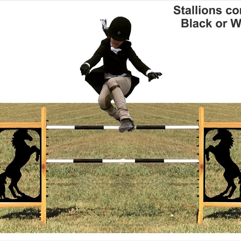 Hobby Horse Wood Jumps - Etsy