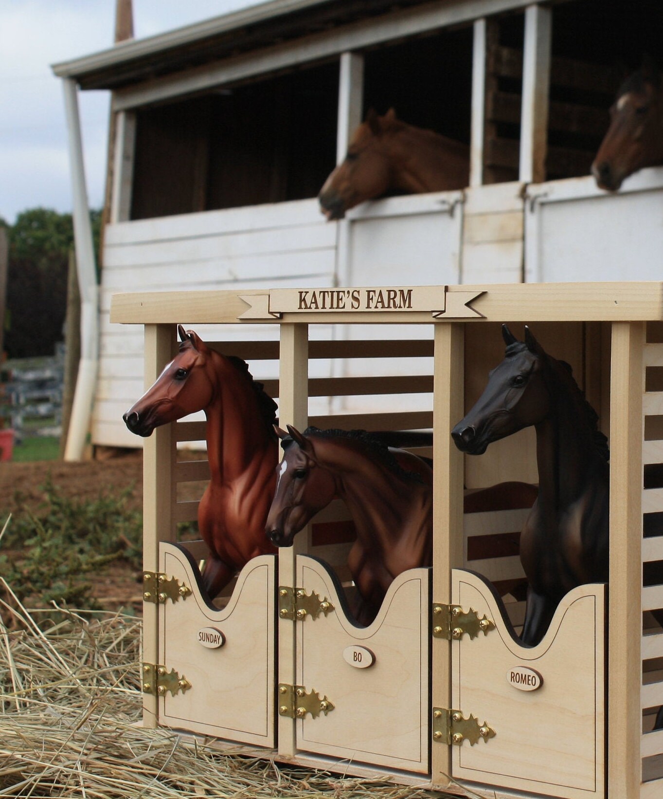 Barn Name And/or Stall Name Signs - Custom - Personalize Barns With a ...
