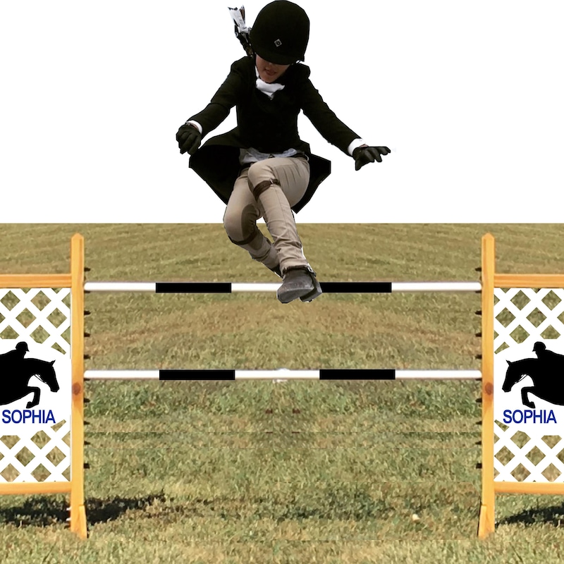 ModelHorseJumps - Etsy