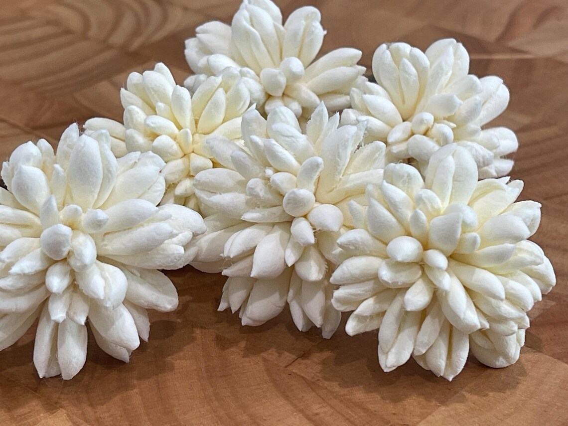 Pikake Flower Hair Pick - Etsy