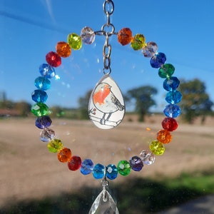 Robin Sun Catcher Rainbow - Etsy