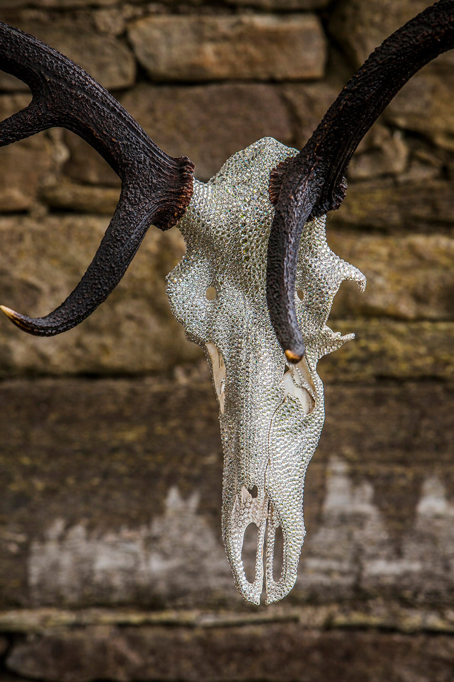 Red Deer Antlers, Skull Covered in Swarovski Crystals. - Etsy