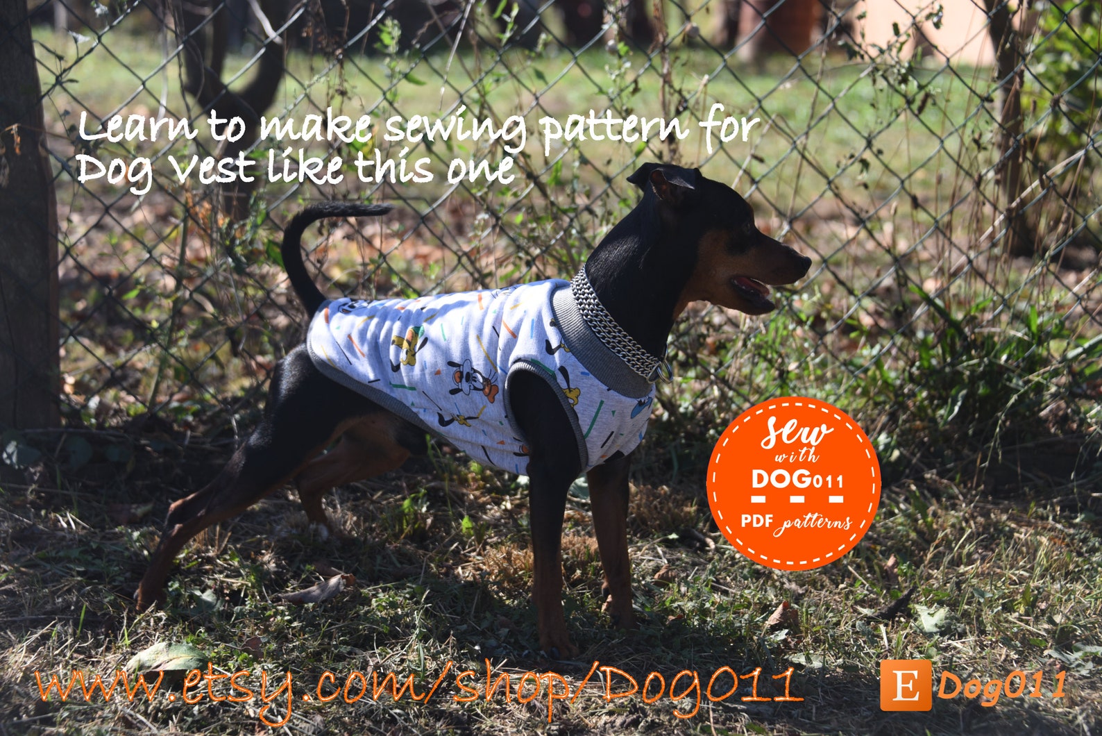 Lesson No. 1 Course Making Sewing Pattern Dog Vest Sewing Pattern ...