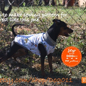 Lesson No. 1 Course Making Sewing Pattern Dog Vest Sewing Pattern ...