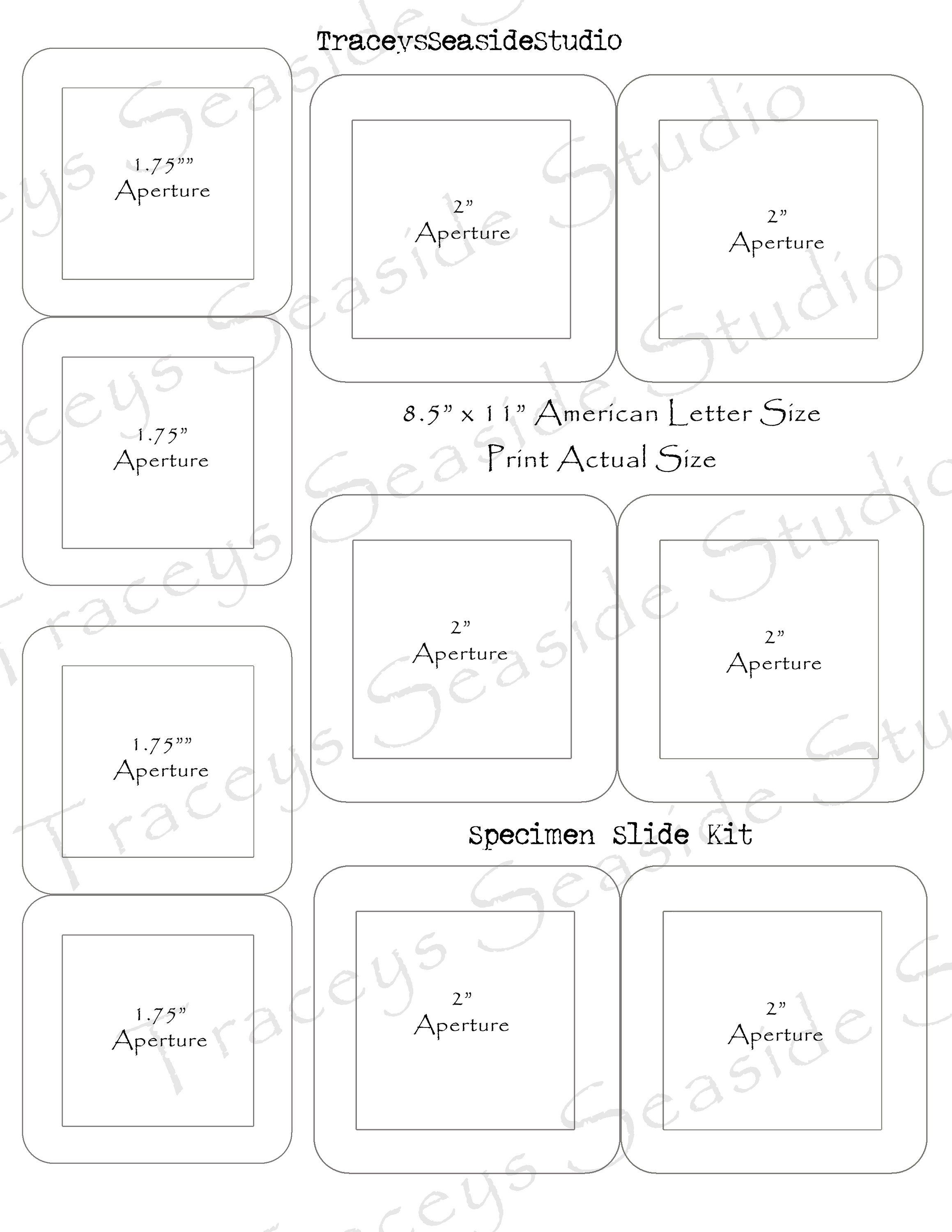 Papercraft Paper, Party & Kids Digital Specimen Slide Kit for printable ...