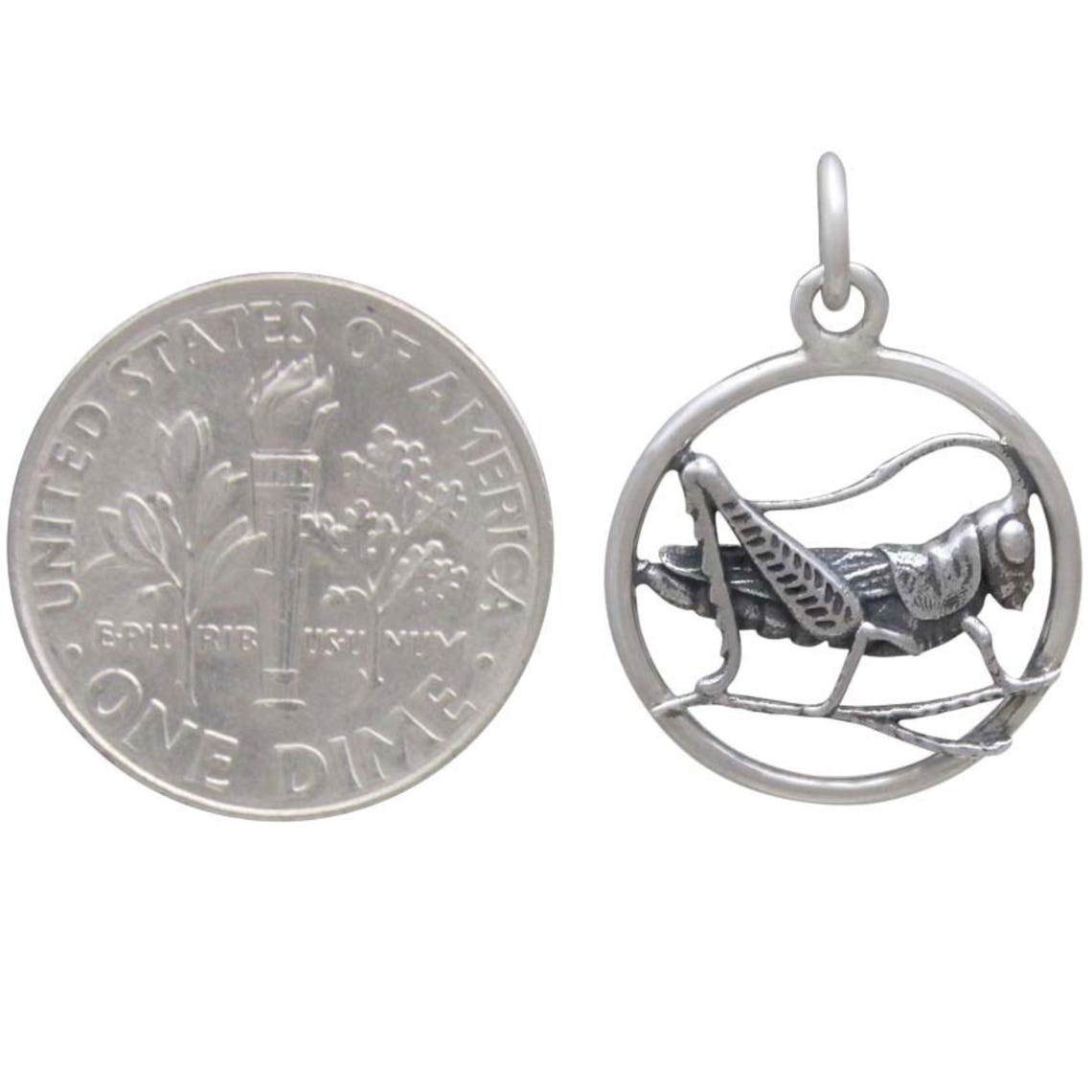 Sterling Silver Cricket Charm, Cricket Gifts, Insect Jewelry, Lucky ...