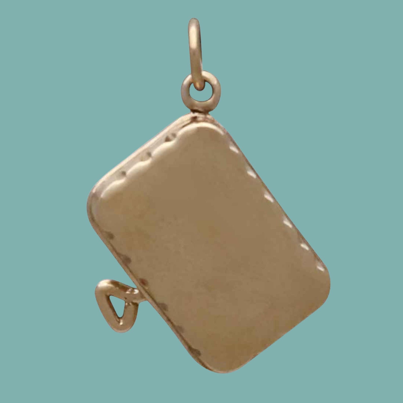 Sterling Silver and Bronze Sardine Can Charm: Fish Pendant, Ocean ...