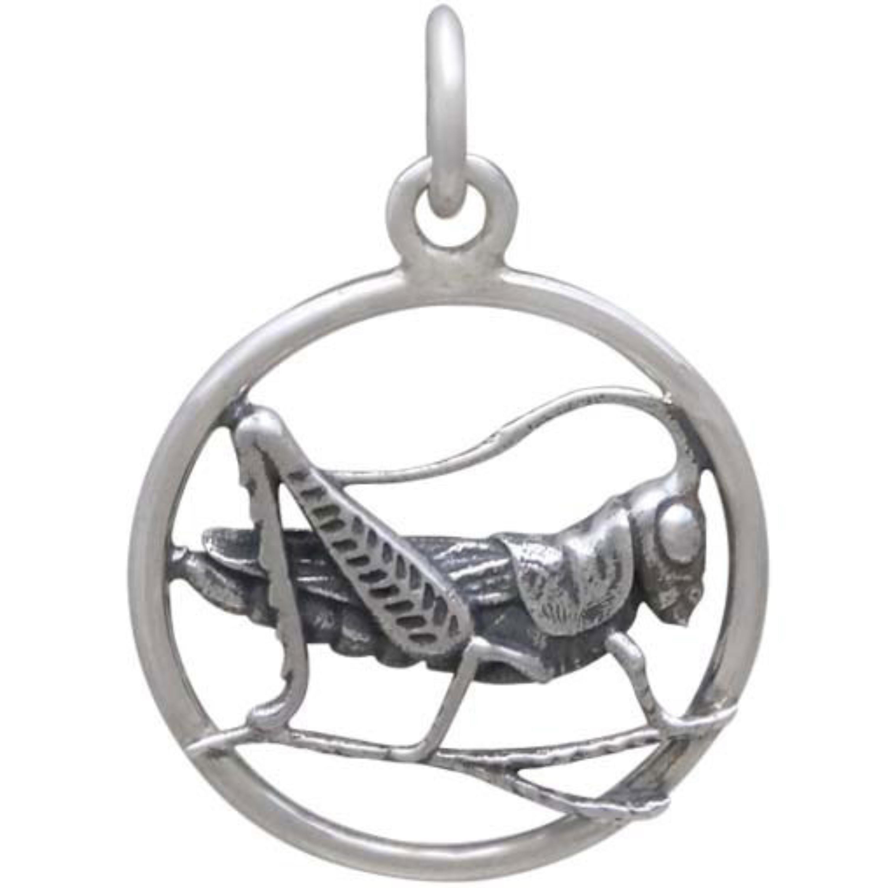 Sterling Silver Cricket Charm, Cricket Gifts, Insect Jewelry, Lucky ...