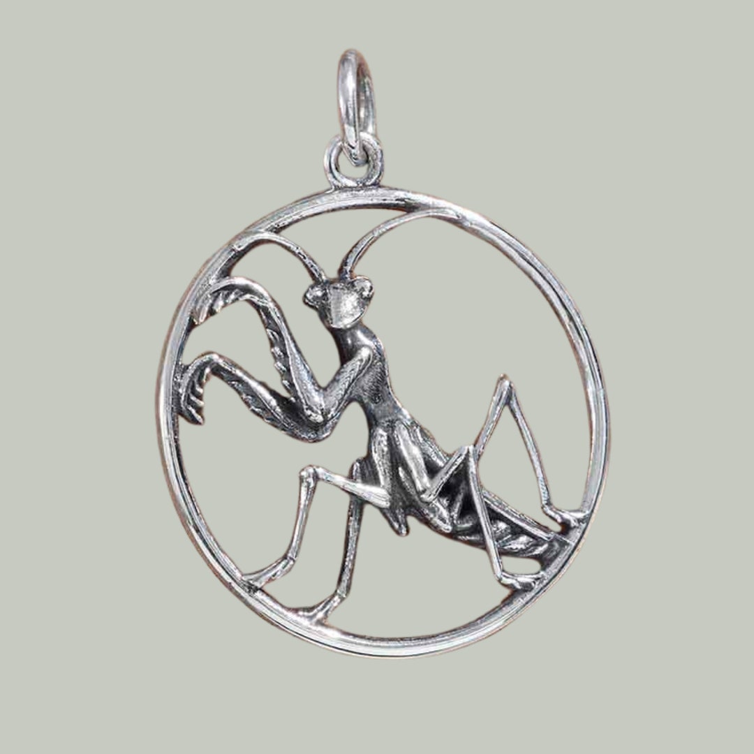 Praying Mantis Pendant, Sterling Silver Bug Pendant, Gift for Bug Lover ...