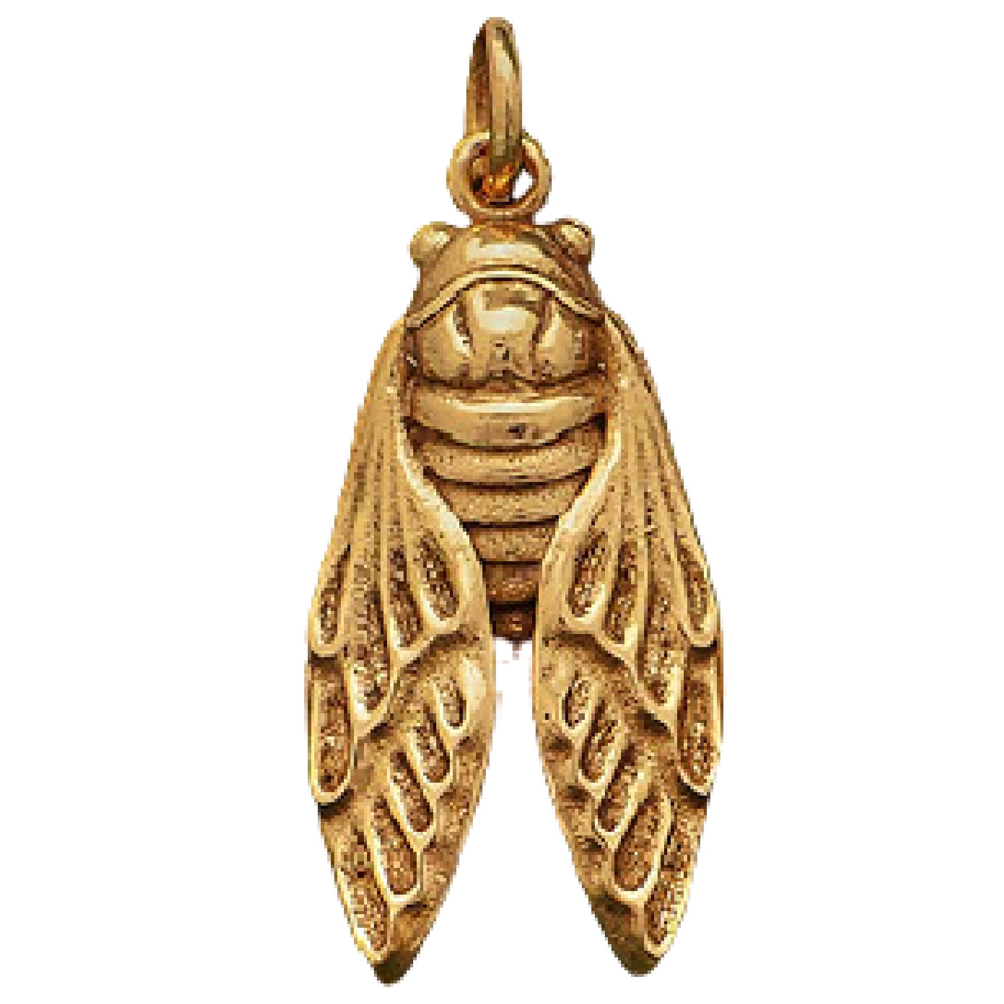 Bronze Cicada Charm, Bug Jewelry, Insect Charm, Nature Jewelry, Bug ...
