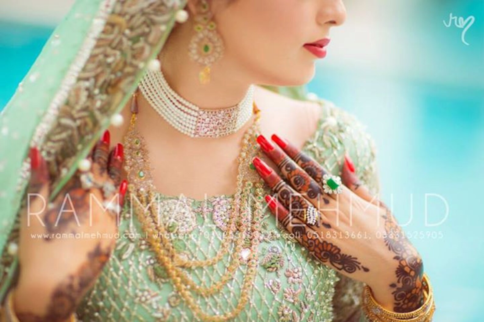Pakistani Bridal Dress - Elan Inspired Garden of Evening Mist Gown ...