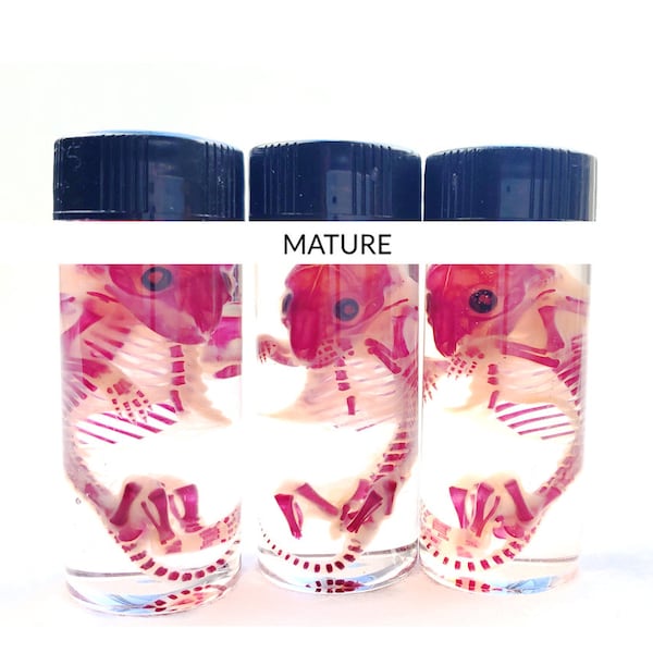 Diaphonization - Etsy