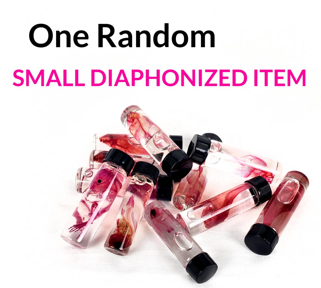 One Random Small Diaphonized Item - Etsy
