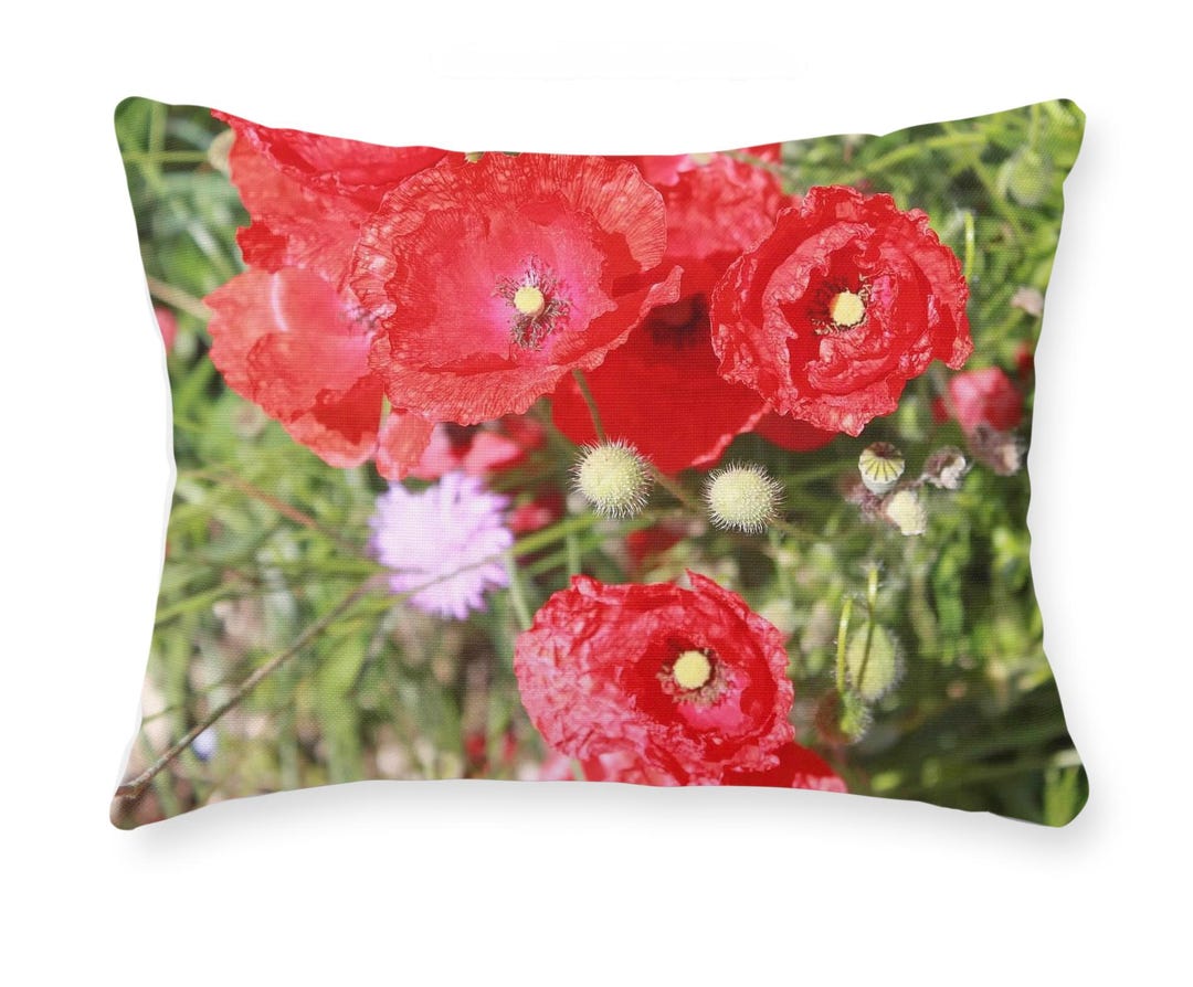 French Fields: Poppy III | Plush Throw Pillow, Featuring a Cluster of ...