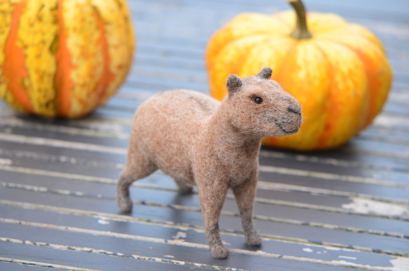 Needle Felted Toy Capybara, Autumn Room Decor, Little Wool Toy Capybara ...