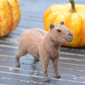 Needle Felted Toy Capybara, Autumn Room Decor, Little Wool Toy Capybara ...
