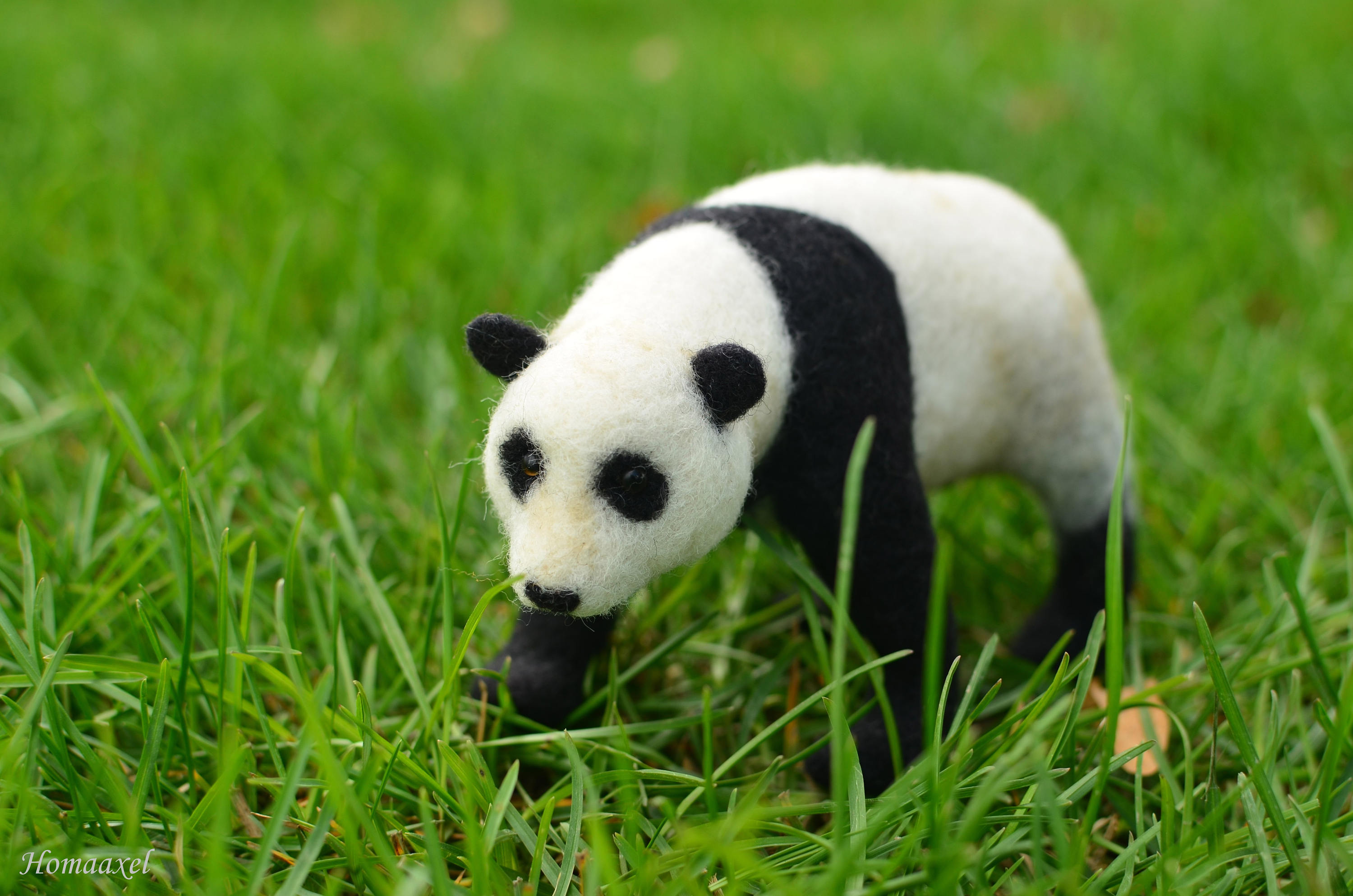 Needle Felted Toy Giant Panda, Little Wool Toy Big Panda, Wool Handmade ...