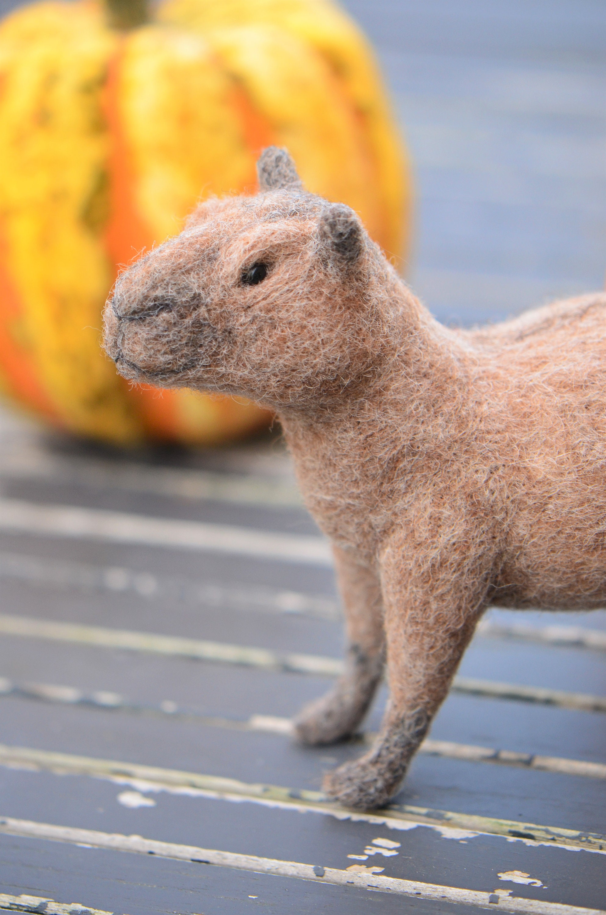 Needle Felted Toy Capybara, Autumn Room Decor, Little Wool Toy Capybara ...