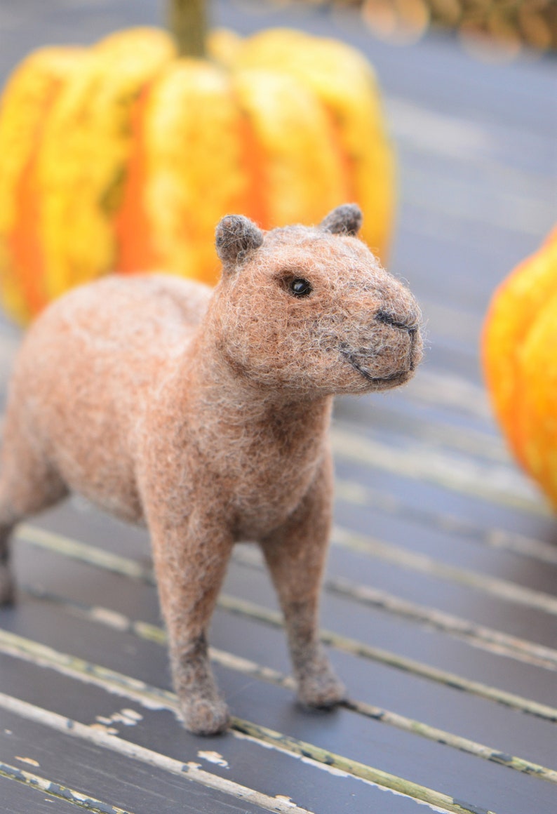 Needle Felted Toy Capybara, Autumn Room Decor, Little Wool Toy Capybara ...