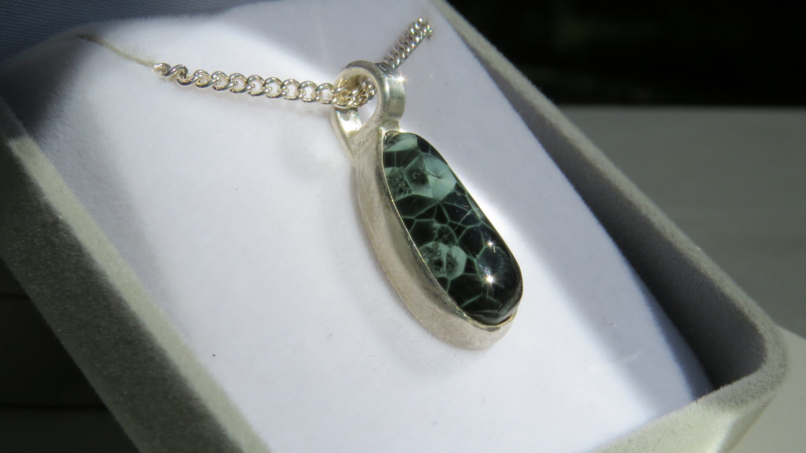 Isle Royale Large Greenstone Pendant Chlorastrolite Michigan State ...