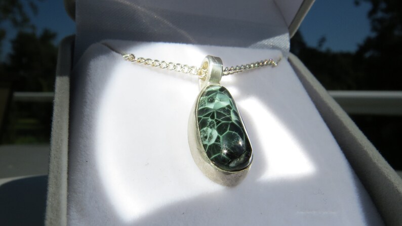 Isle Royale Large Greenstone Pendant Chlorastrolite Michigan State ...