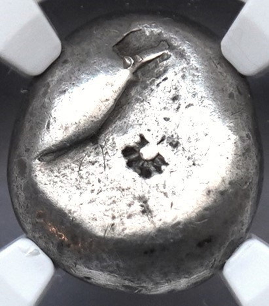 525-480 BC Ancient Greece Sea Turtle Antique Silver Authenticated Greek ...
