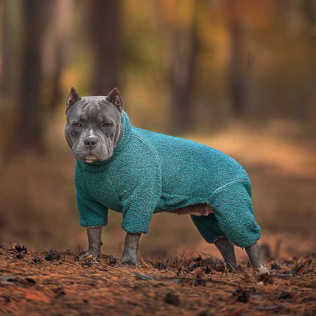 Comfortable Full Body Dog Suit, Overall for Dogs, Waterproof ...