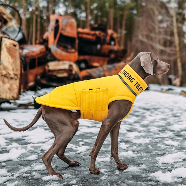 Great Dane Coat - Etsy