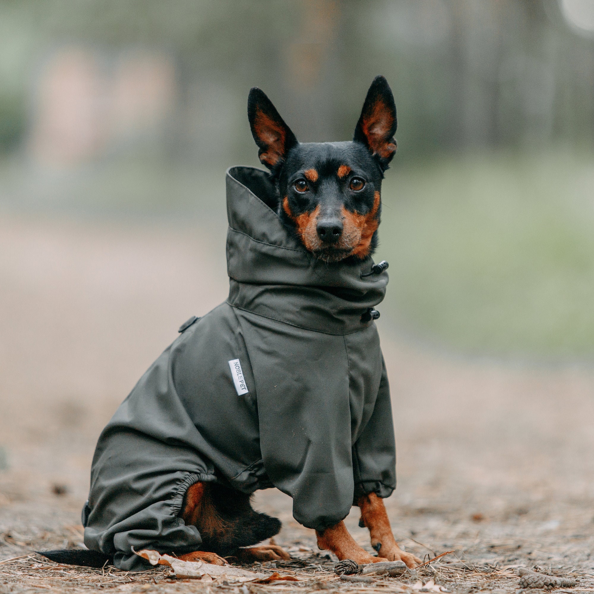 Comfortable Full Body Dog Suit, Overall for Dogs, Waterproof ...