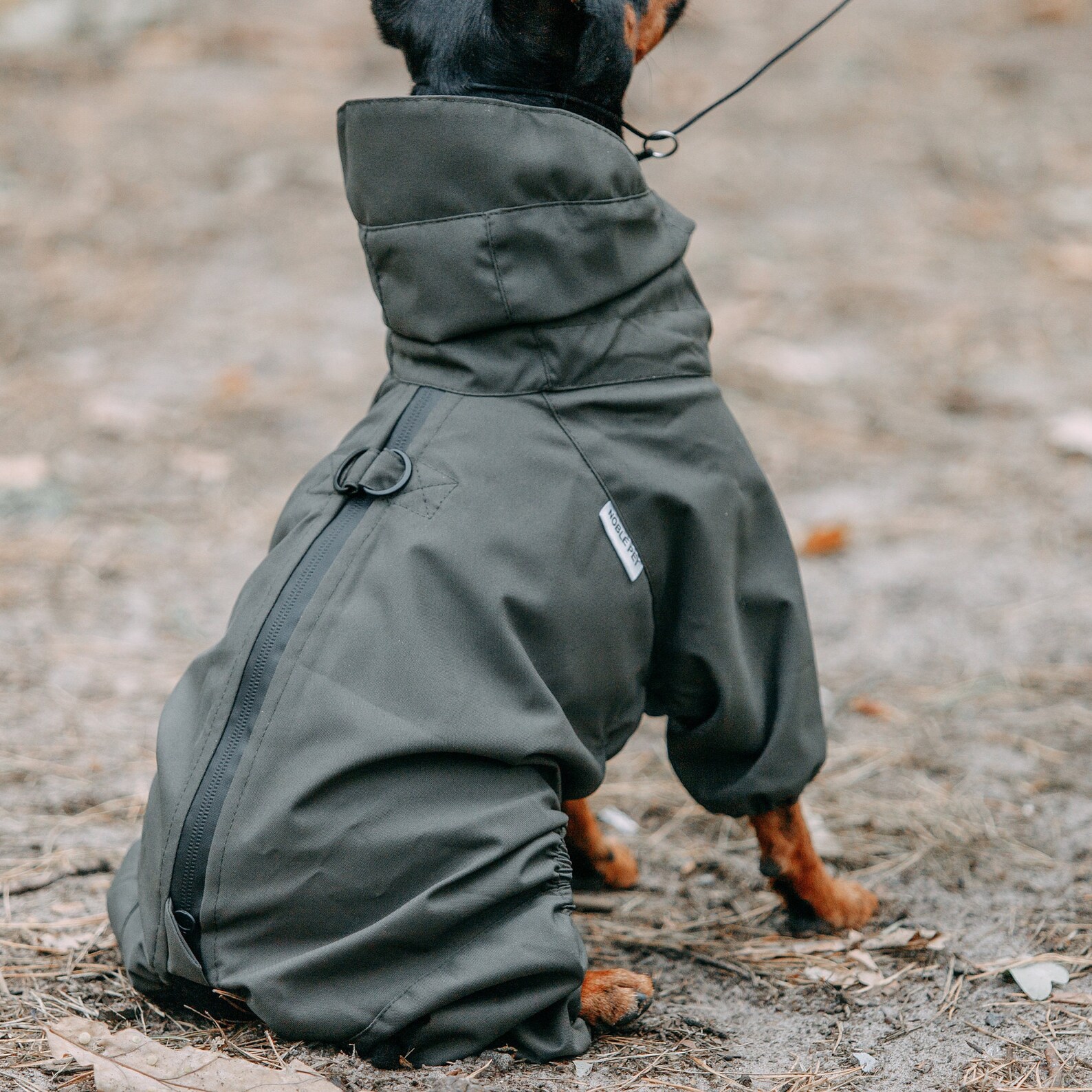 Comfortable Full Body Dog Suit, Overall for Dogs, Waterproof ...