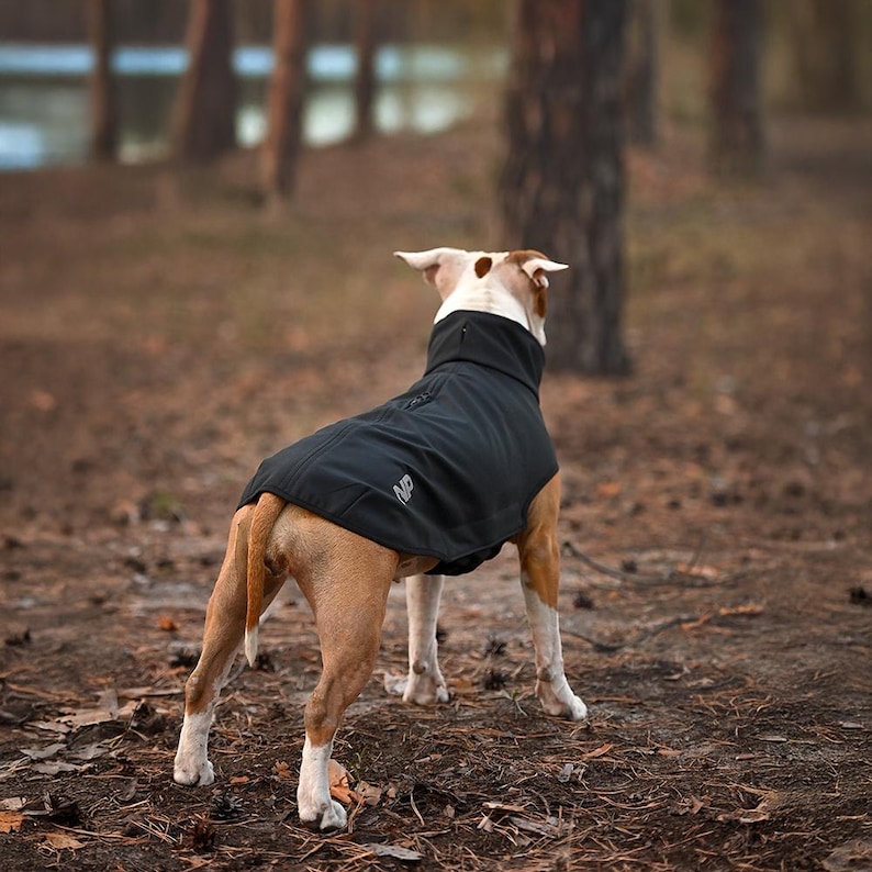 Softshell Dog Clothes – Vizsla, German Pointer, Pitbull Jumper, Big Dog ...