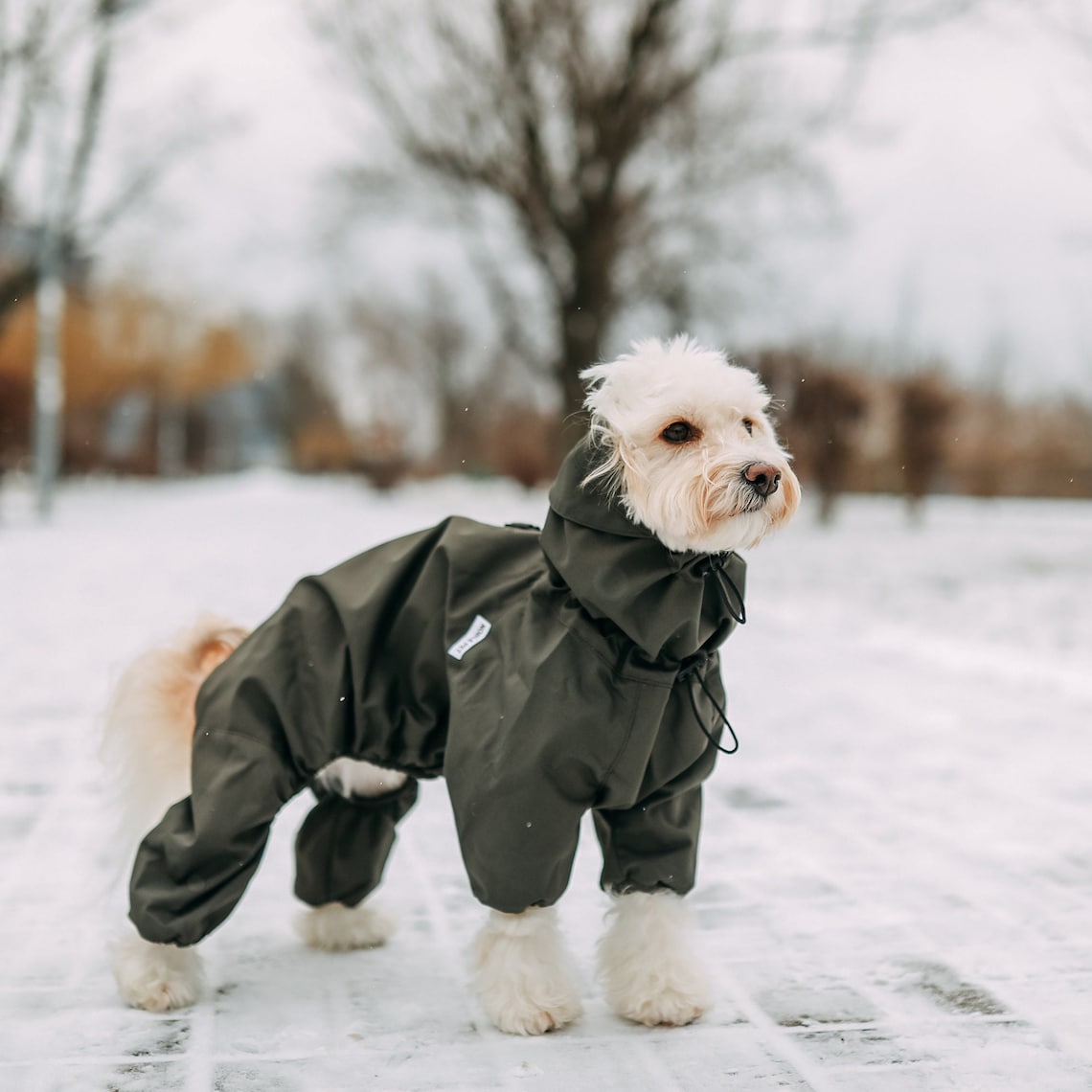 Comfortable Full Body Dog Suit, Overall for Dogs, Waterproof ...