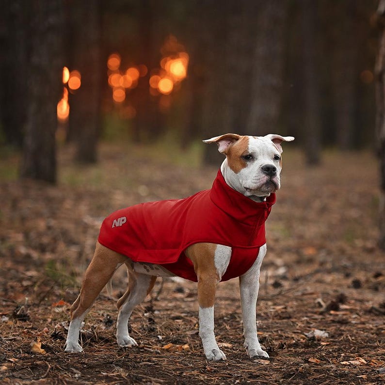 Softshell Dog Jacket, Waterproof and Windproof Dog Coat, Adjustable ...