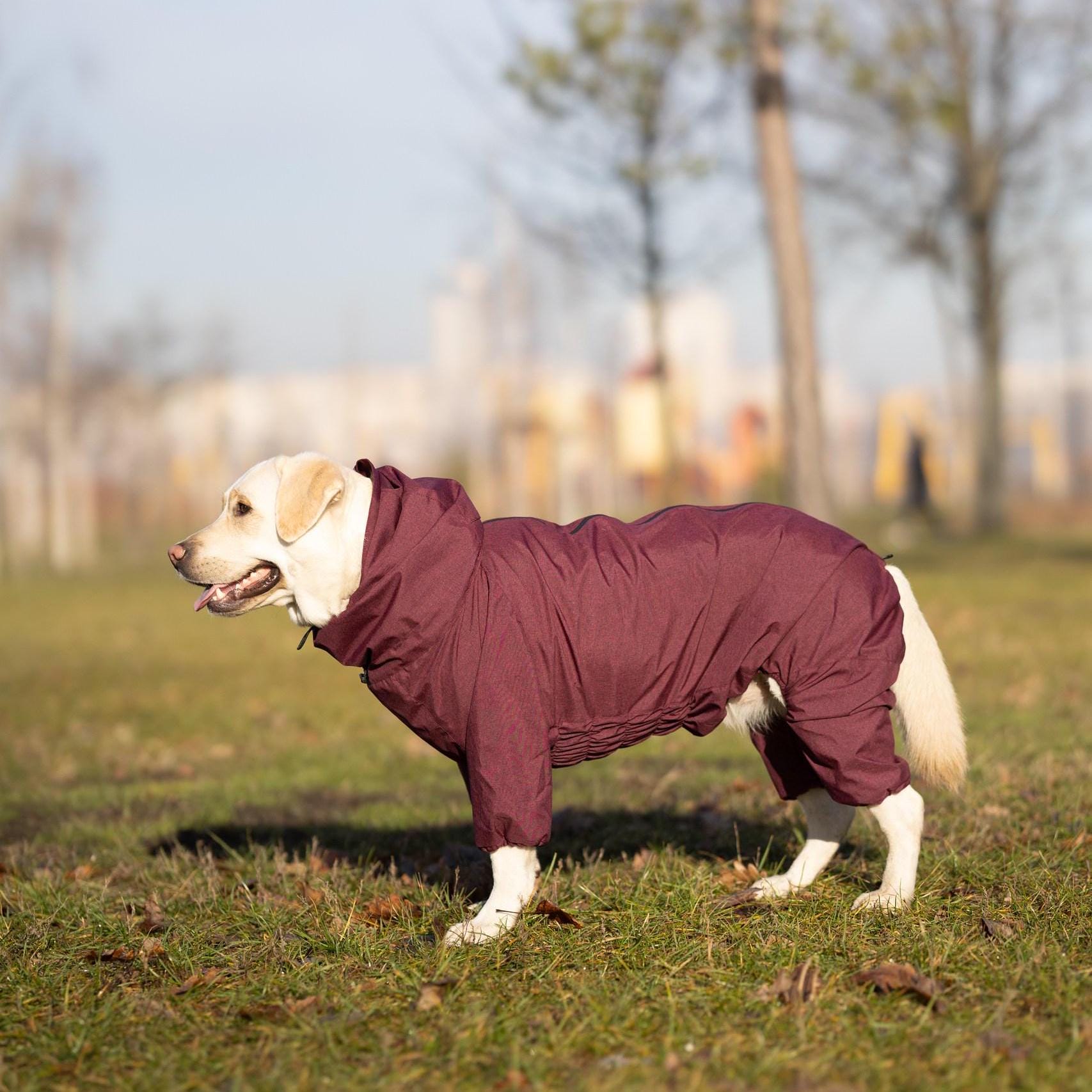 Comfortable Full Body Dog Suit, Overall for Dogs, Waterproof ...