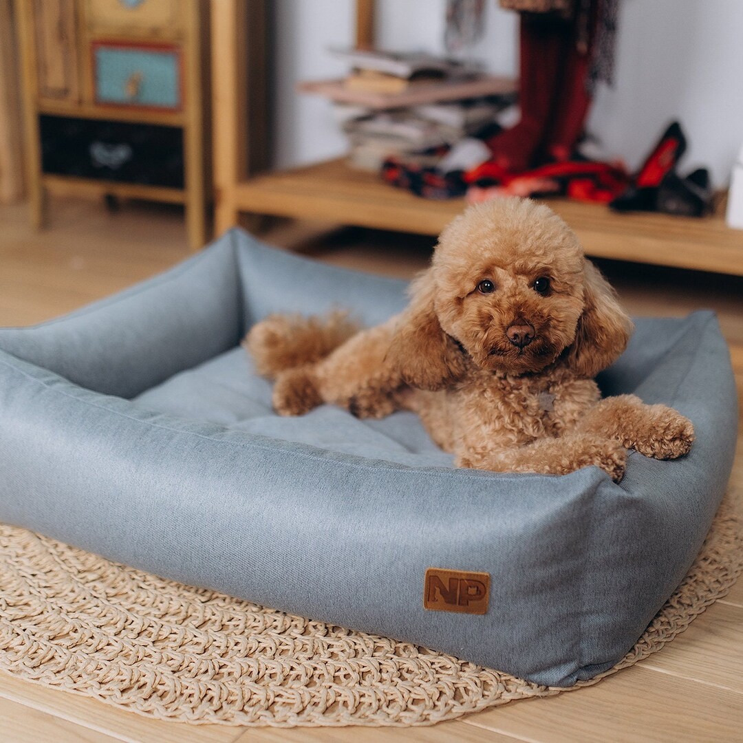 Stylish Dog Bed, Fancy Dog Bed, Modern Design Dog Bed With Washable ...