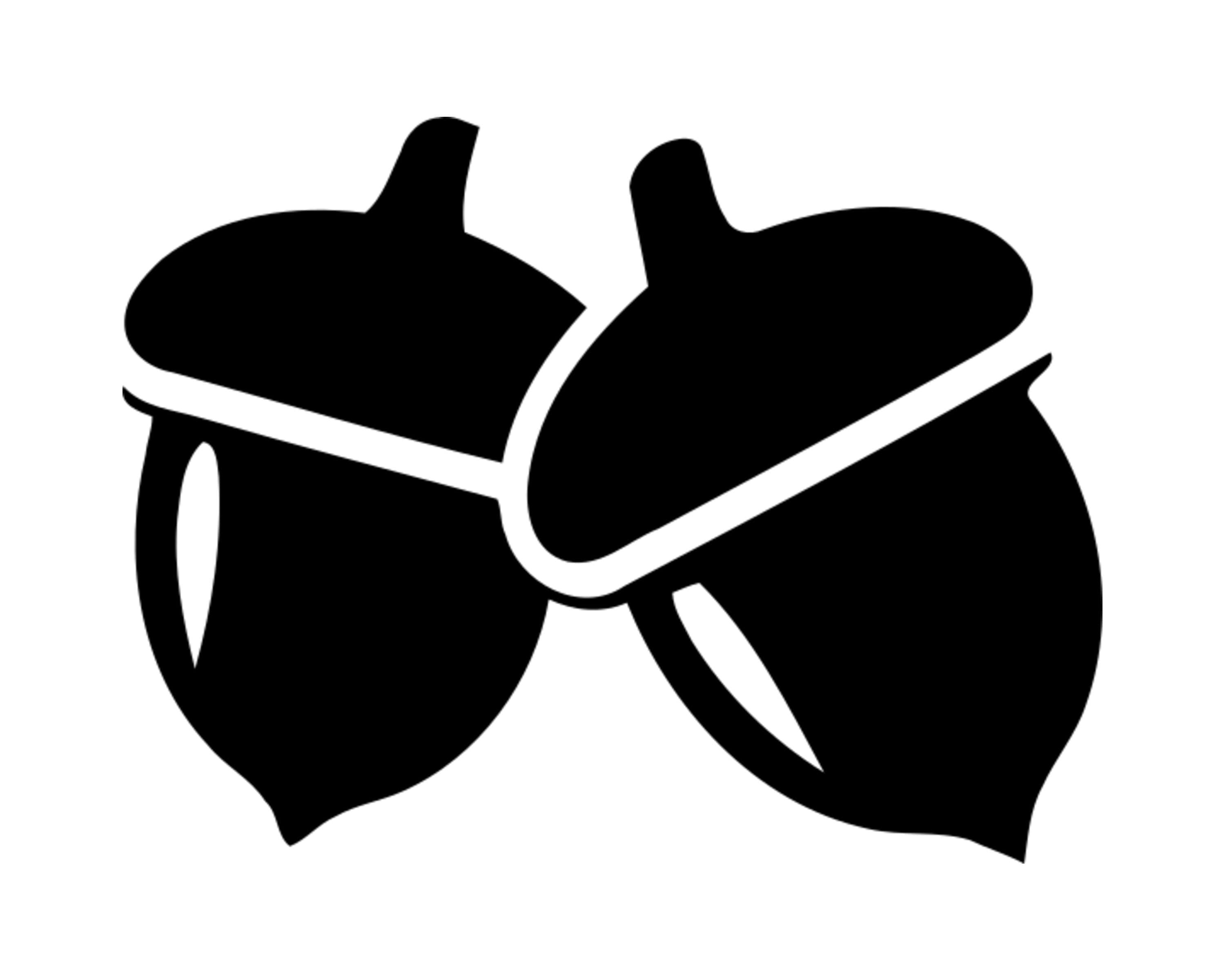 Acorn Vector Svg Cutting File Silhouette Cut File Acorn Webp - Etsy Canada