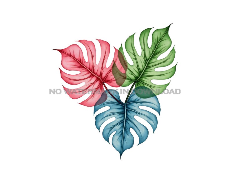 Monstera Leaf Clipart PNG: Digital Art File for DIY Projects - Etsy