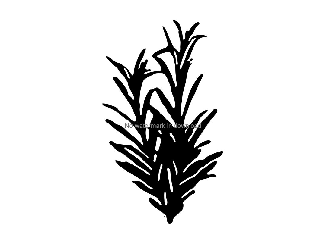 Rosemary SVG Cut File: T-shirt Design, Engraving (digital Download) - Etsy