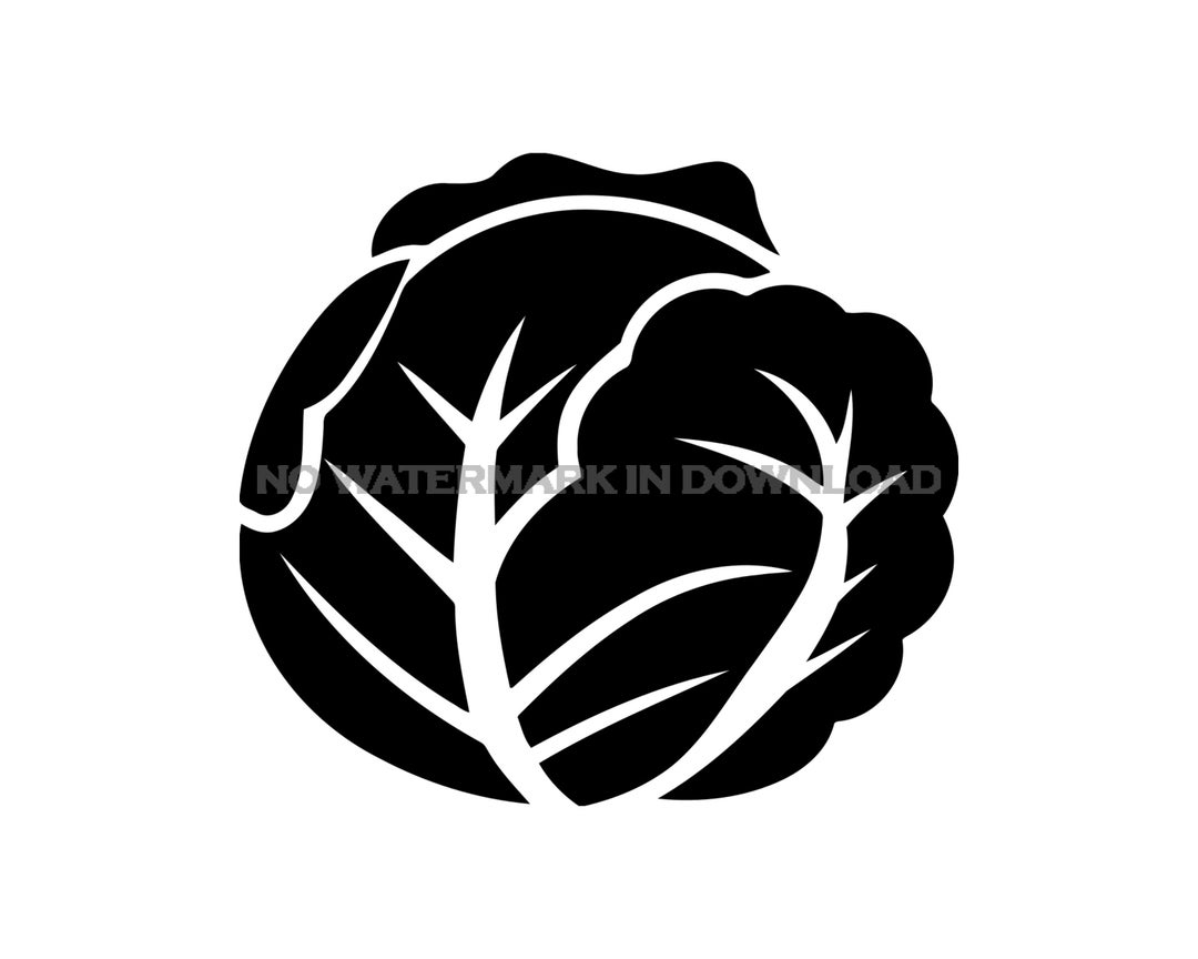 Cabbage Clipart SVG: Vector Image, Cutting File (digital Download) - Etsy