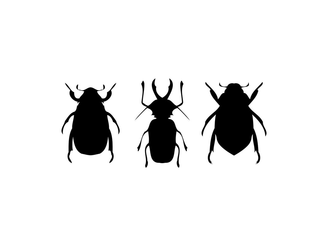 Beetle SVG Clipart: Bug Engraving Cutting Files (digital Download) - Etsy