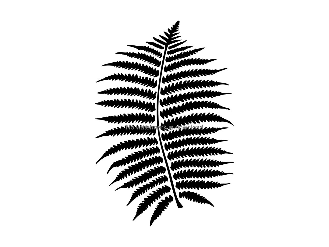 Farn Blatt Silhouette Plotterdatei, FarnBlatt Plotterdatei, FarnBlatt ...