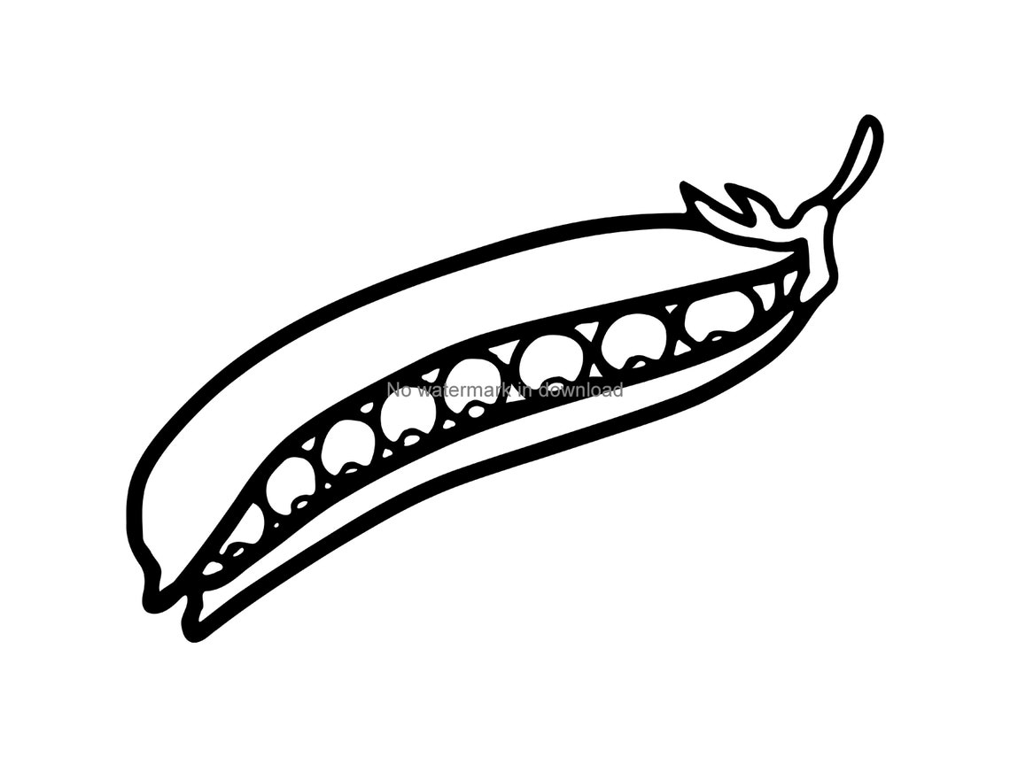 Peas Engrave Svg Vegetable Cut Files for Cutting Garden - Etsy