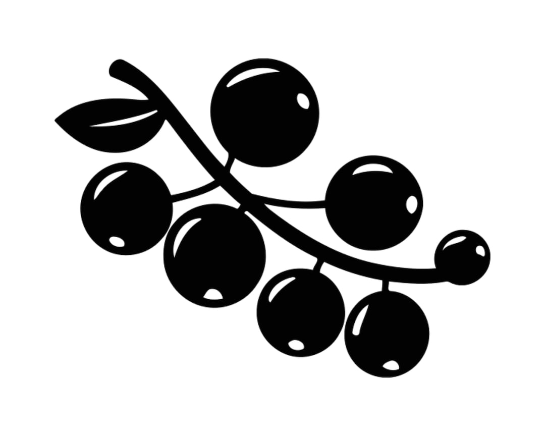 Berries Svg Clipart Webp Design Berries Picture Cutting File for ...