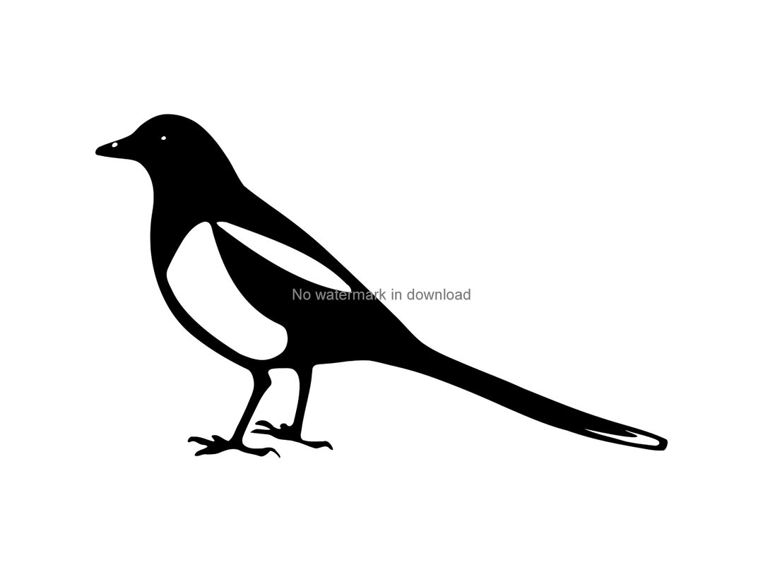 Magpie Bird SVG Clipart: Vinyl Cutting Template (digital Download) - Etsy